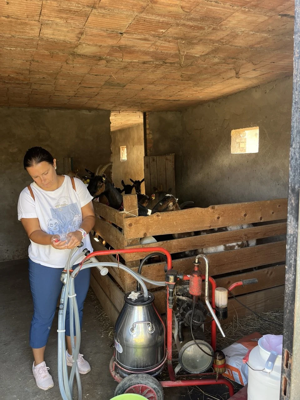 Sampling activities - Trace project